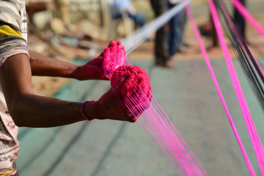 Deadly Kite Strings Kill 150 Birds In India - GG2