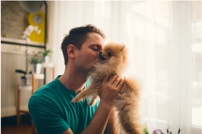 Men With Small Dogs Find It Easier To Win Women’s Hearts, Here’s Why - GG2