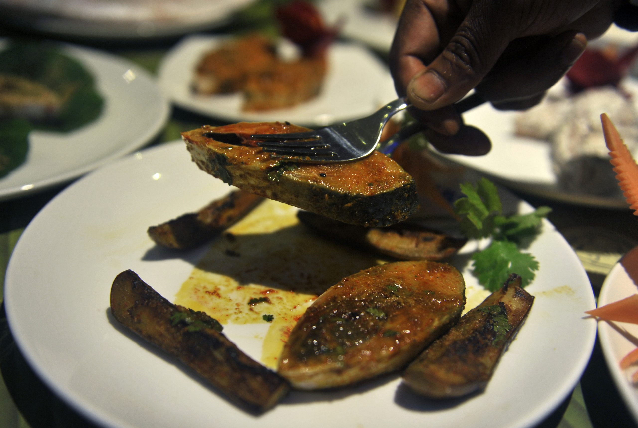 Hilsa Fish Absent For Almost 50 Years May Make Comeback In Uttar ...