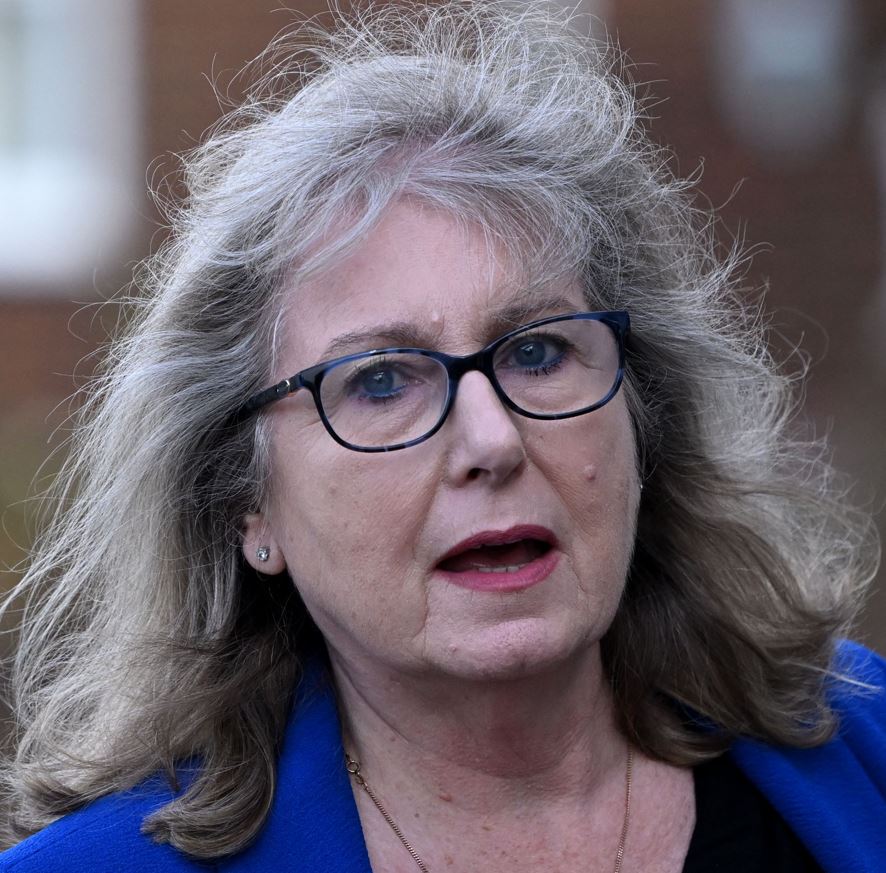 Campaign group reveals Susan Hall’s controversial Twitter engagement - GG2