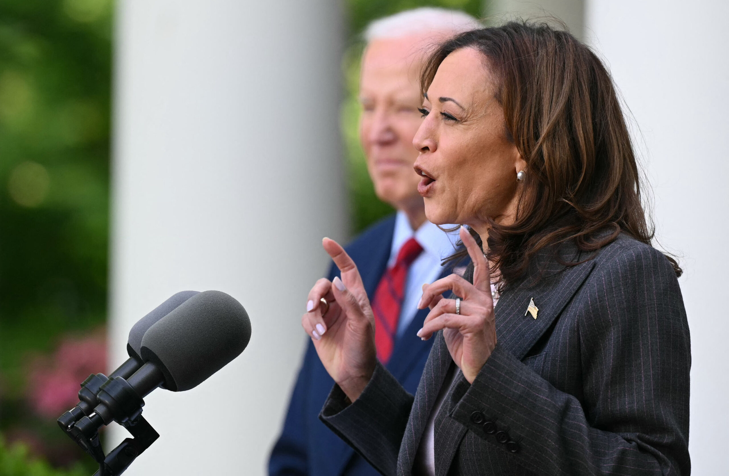 Kamala Harris Encourages More Indian Americans To Contest Elections - GG2